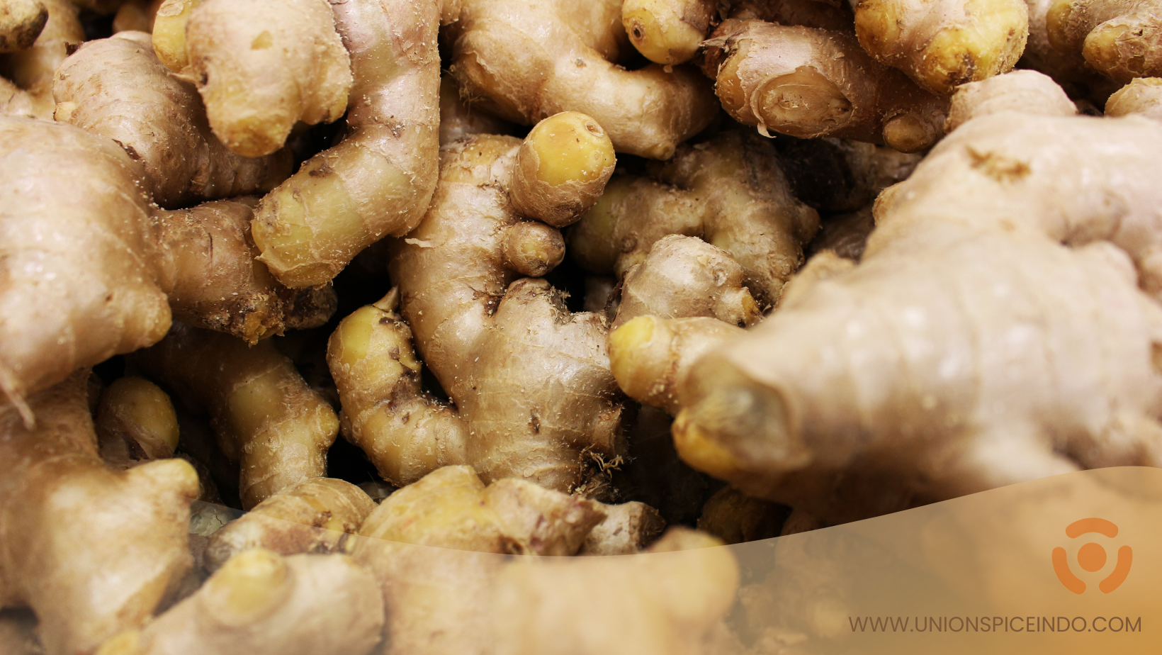 5 Easy Steps You Need to Buy Fresh Ginger in the Marketplace